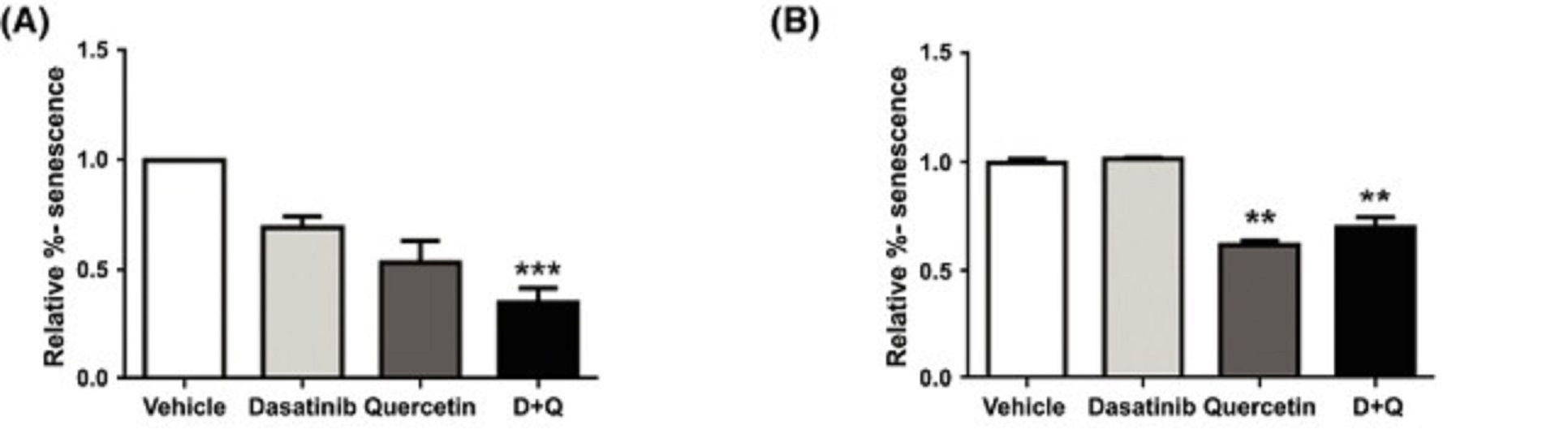 Removing senescent cells